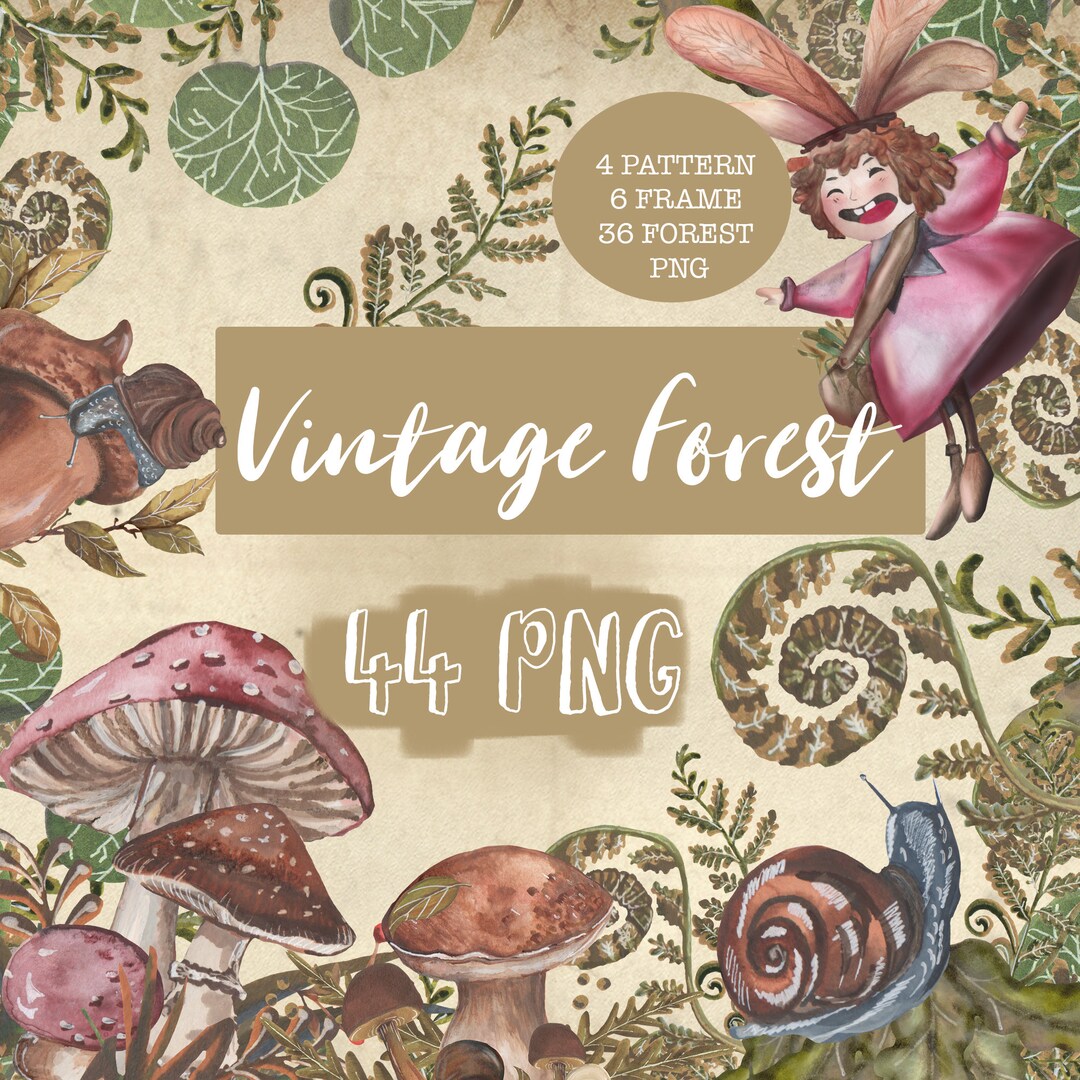 44 Watercolor Mushroom Woodland Clipart- Forest Clipart- Woodland ...