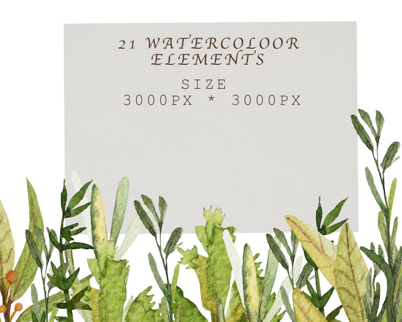 Medicinal Herbs Clipart, Healing Herbs Botanical Clip Art, Watercolor ...