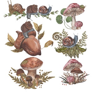 44 Watercolor Mushroom Woodland Clipart Forest Clipart | Etsy