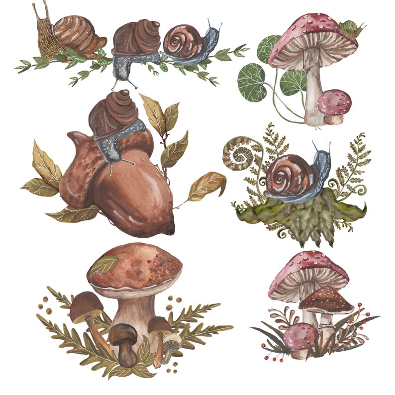 44 Watercolor Mushroom Woodland Clipart Forest Clipart | Etsy
