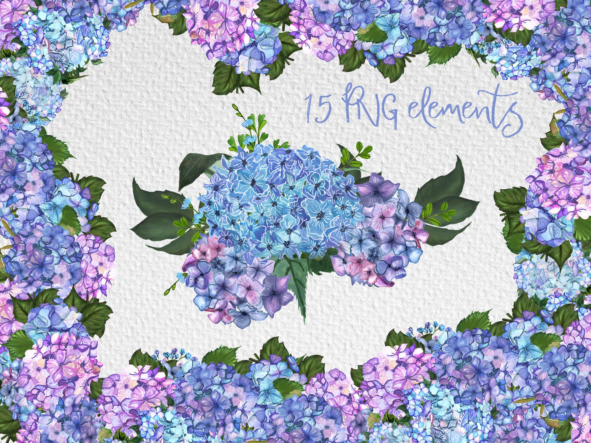 Hydrangea Watercolor Clipart, Hand Painted Watercolor Hydrangea Blooms ...