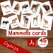 Wild Animals Card, Editable Montessori Cards,flash Cards Nomenclature ...