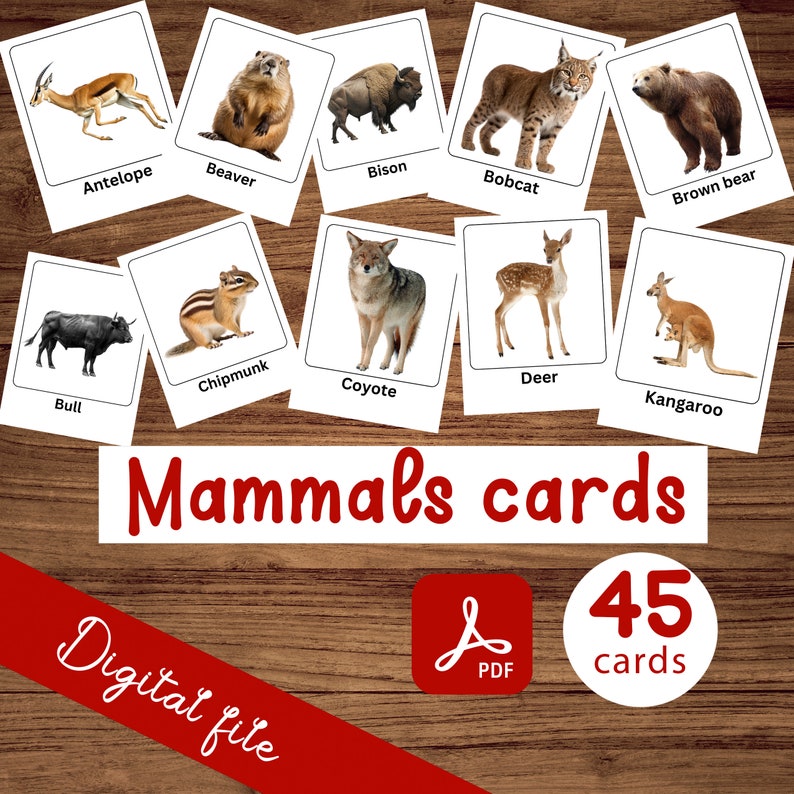Wild Animals Card, Editable Montessori Cards,flash Cards Nomenclature ...