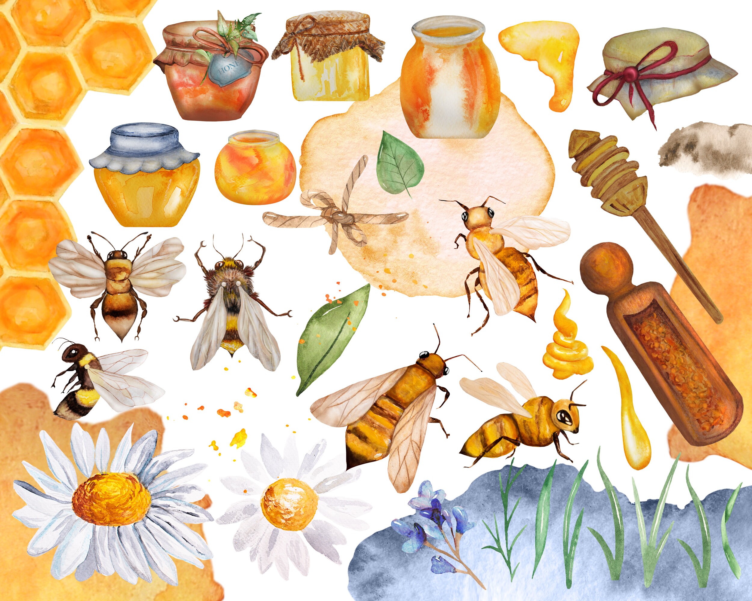 Watercolor Honeybee Clipart Bundle: Honeycomb & Jar (61 PNG) (digital ...