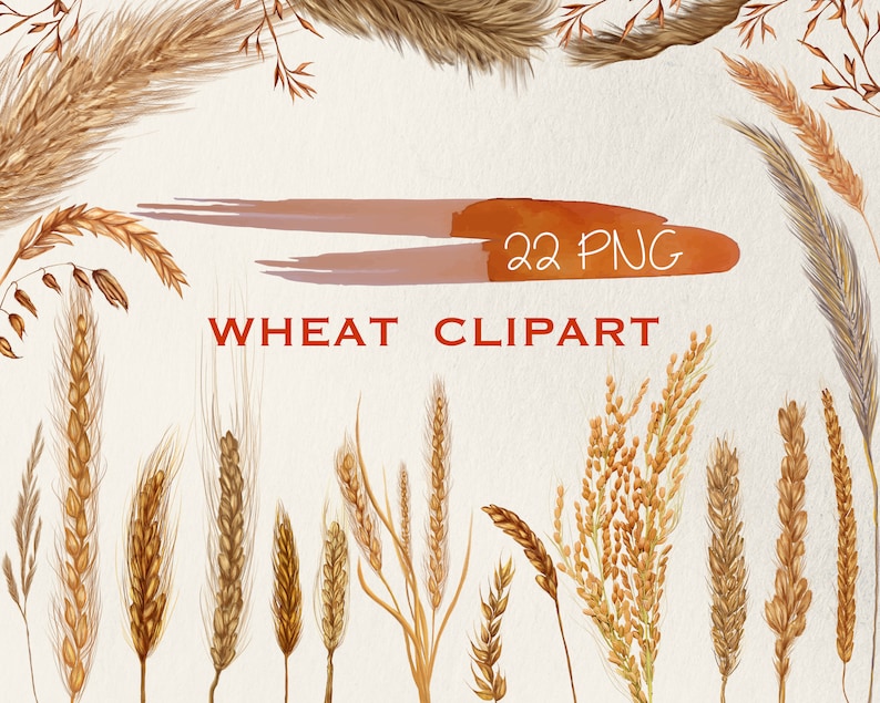 Wheat Clipart Baking Bread Clipart Grains Set Grains Clip | Etsy