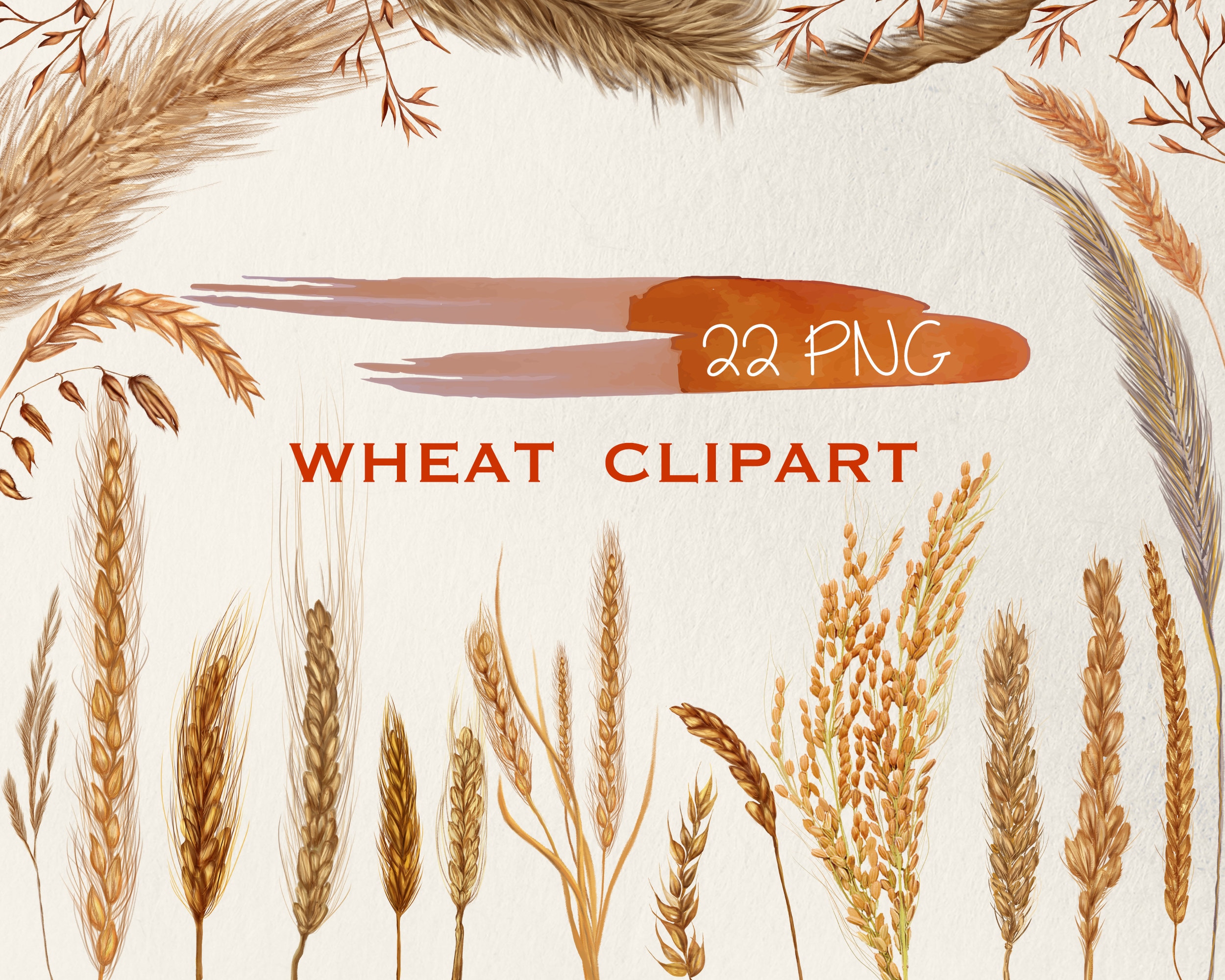 Wheat Clipart Baking Bread Clipart Grains Set Grains Clip - Etsy UK