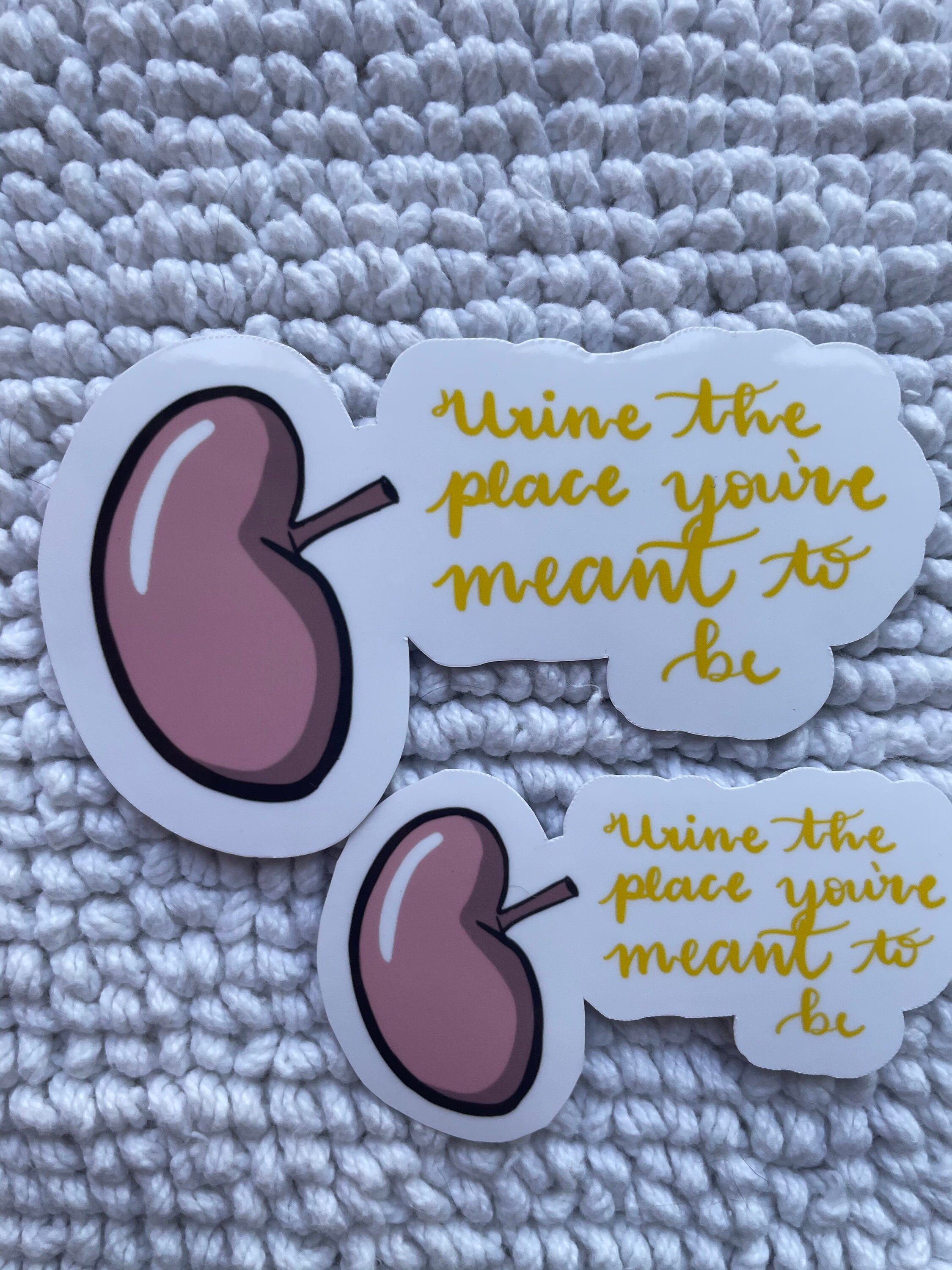Urine the Place You're Meant to Be Aesthetic Pun Anatomy - Etsy