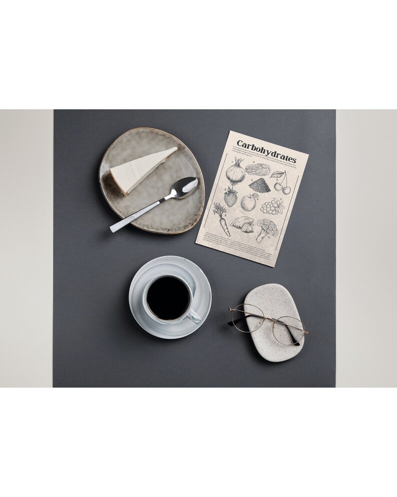 Vintage Macro Educational Chart With Doodles - Etsy