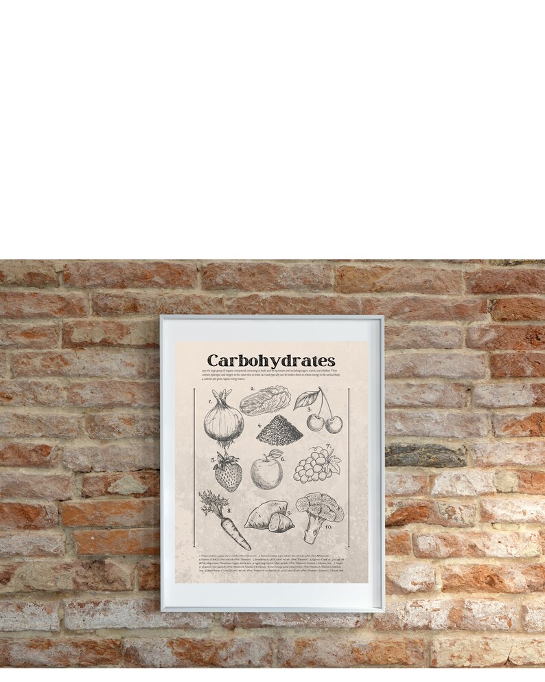 Vintage Macro Educational Chart With Doodles - Etsy