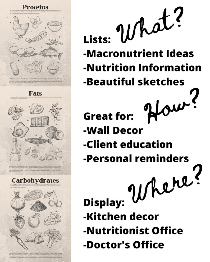 Vintage Macro Educational Chart With Doodles - Etsy