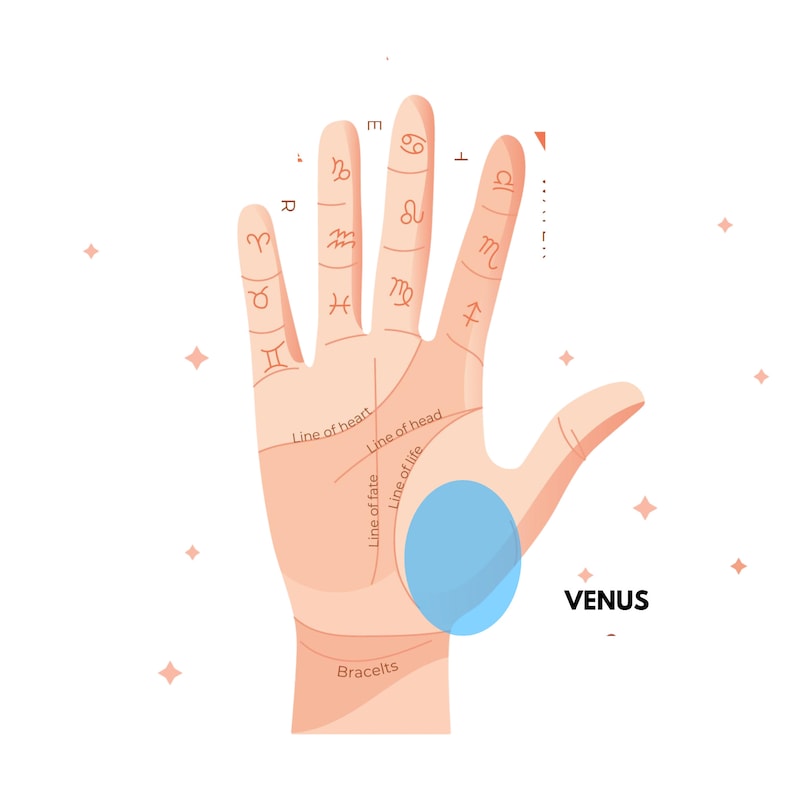 Palmistry & Chakra Reading: Handology Chart - Etsy