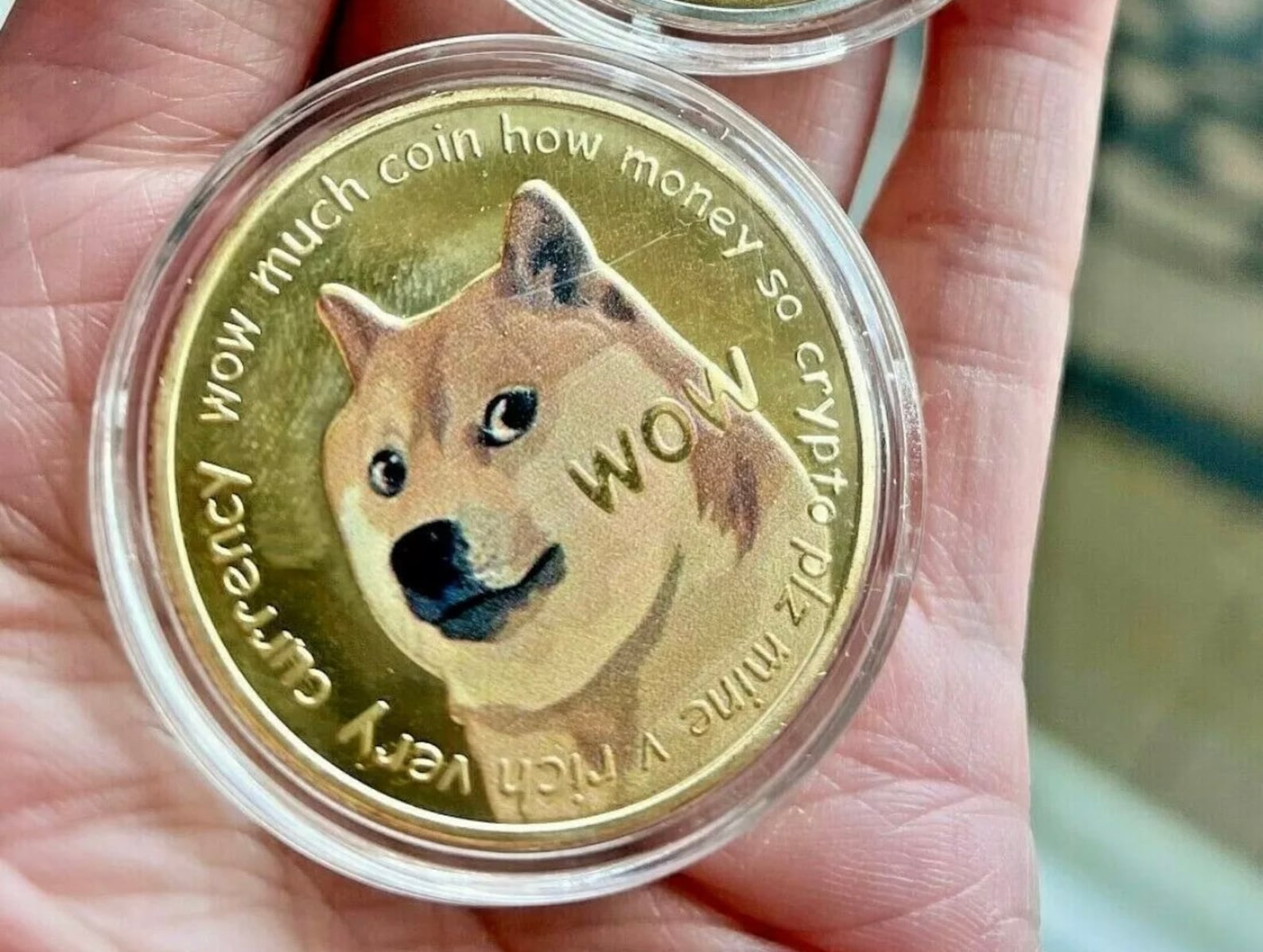 New GOLD or SLIVER Plated Dogecoin Dog Coin DOGE Commemorative | Etsy