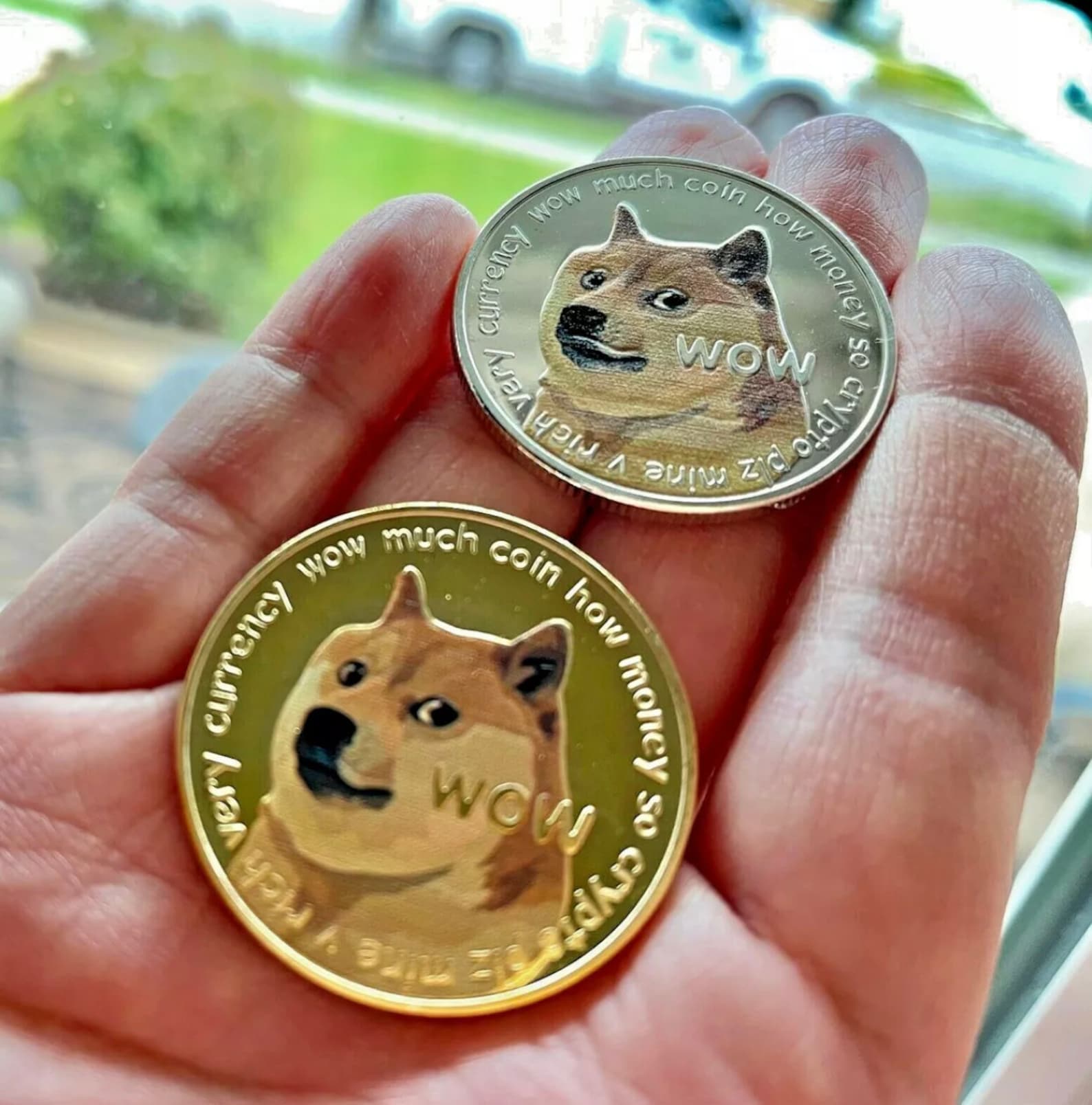 New GOLD or SLIVER Plated Dogecoin Dog Coin DOGE Commemorative | Etsy
