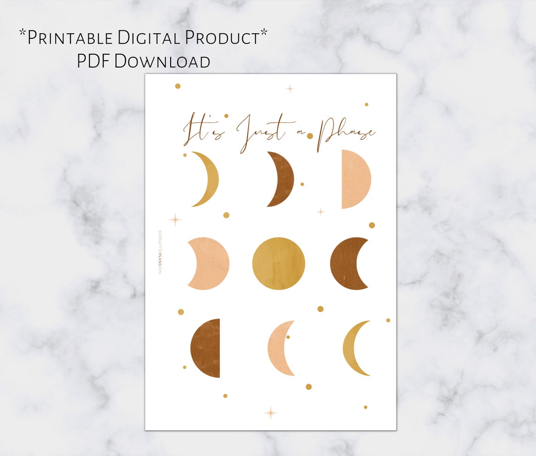 PW It's Just a Phase Dashboard | Printable Planner Dashboard | Personal ...