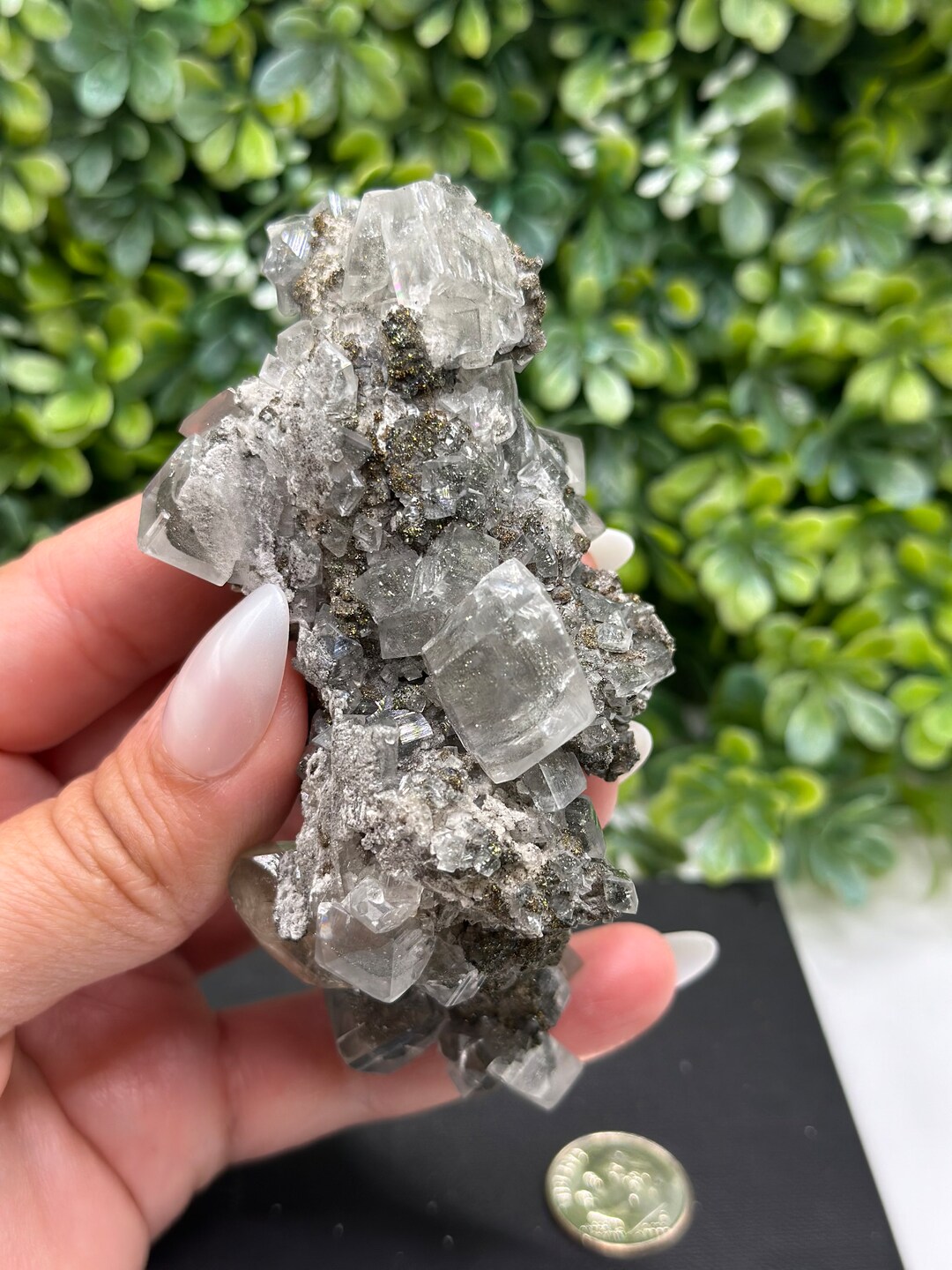 Calcite With Marcasite and Barite Linwood Mine, Buffalo, Scott County ...