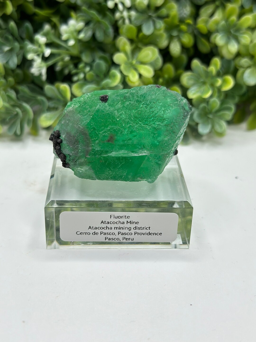 Fluorite Atacocha Mine, Atacocha Mining District Cerro De Pasco, Pasco ...