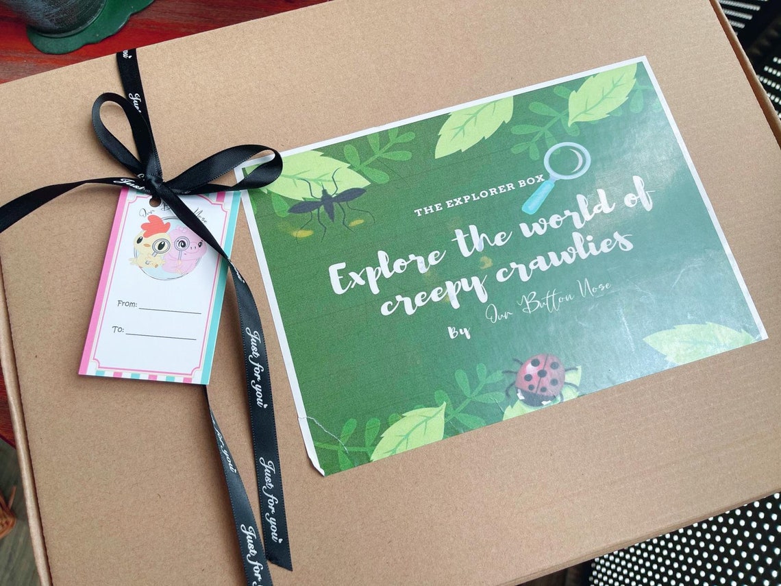 Outdoor Bugs Explorer Kit - Etsy