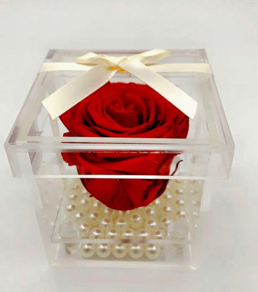 Preserved Real Roses in Luxe Acrylic Box Eternal Rose Home - Etsy