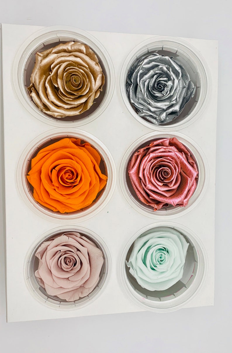 Preserved Real Roses in Luxe Acrylic Box Eternal Rose Home - Etsy