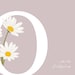 Initial Letter o Daisy Flower Wall Art, Vector Art, GET ALL 8 SIZES of ...