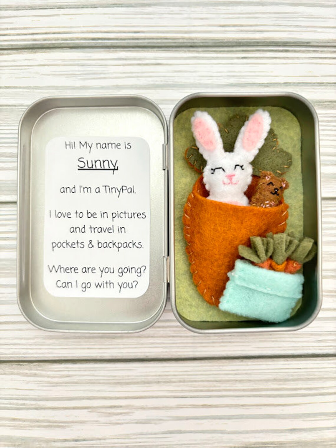 Felt Bunny Rabbit Playset Traveling Toy Tinypal multiple Options - Etsy