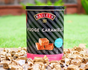Jim Beam and Baileys Fudge Caramel Tin Bundle - Etsy