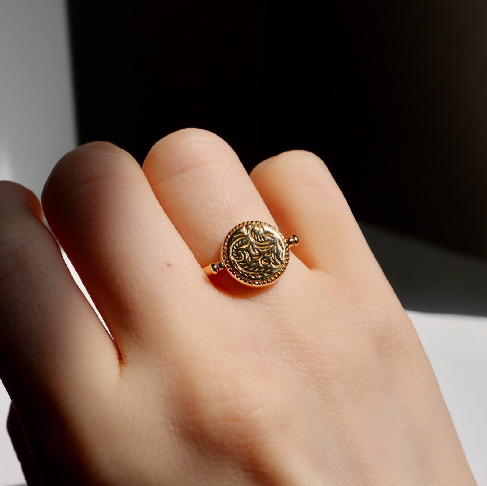 Reversible Ring Flip Ring Sagittarius Ring Blue Sandstone - Etsy