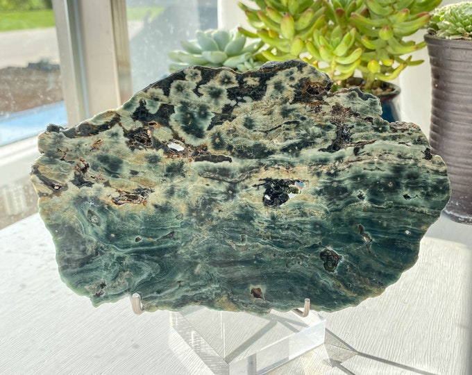 Huge Orbicular Ocean Jasper Slab Slice With Stand , Magnificent ...