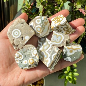 Old Stock Ocean Jasper Slice , Ocean Jasper Freeform , Polished Old ...