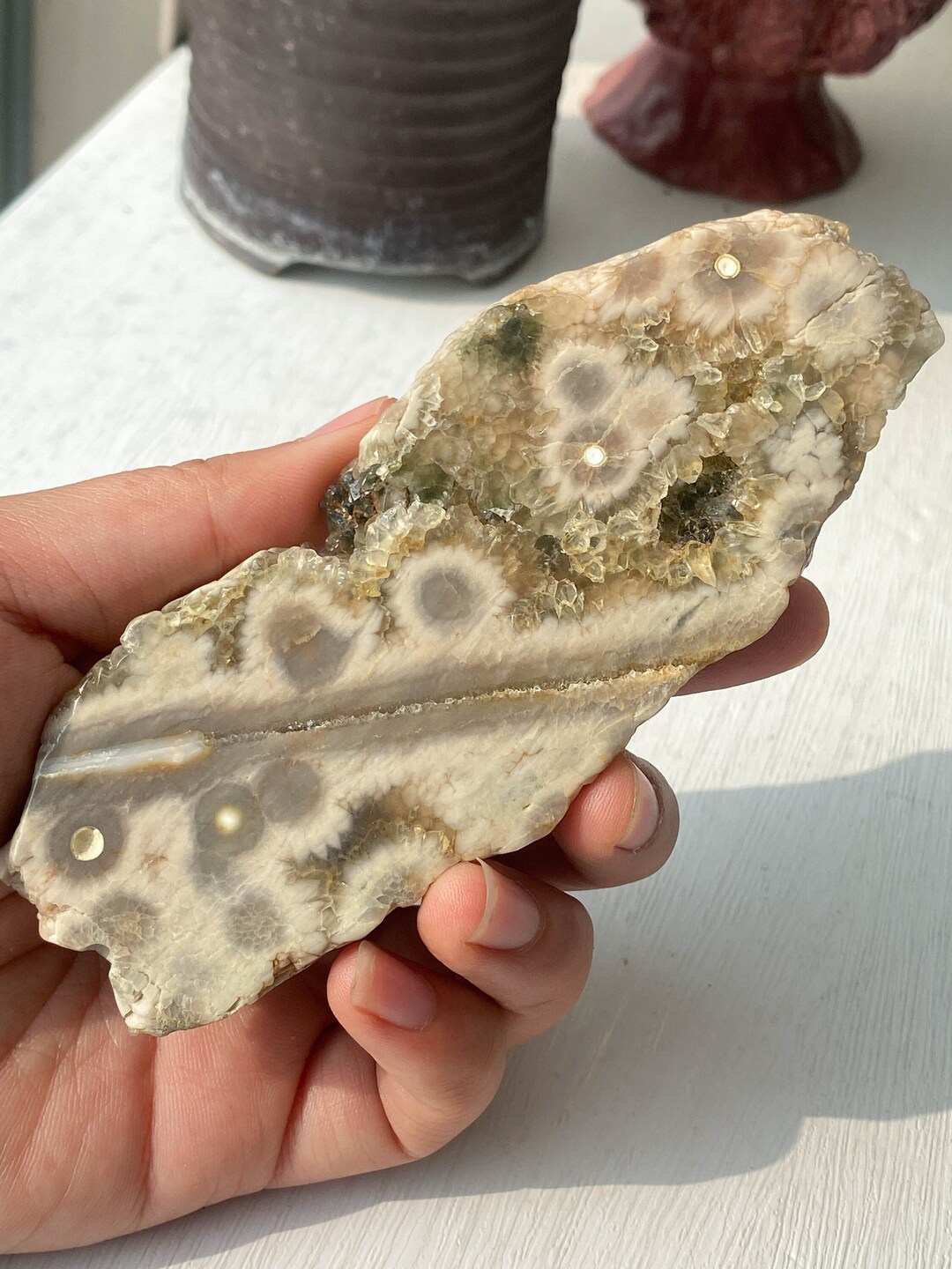 Natural Orbicular Jasper Natural Stone Slice Slab , 8th Vein Ocean ...