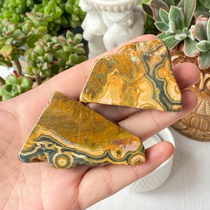 Old Stock Ocean Jasper Slice , Ocean Jasper Slab , Polished Old Stock ...