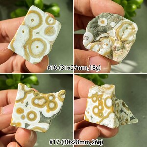 Old Stock Ocean Jasper Slice , Ocean Jasper Freeform , Polished Old ...