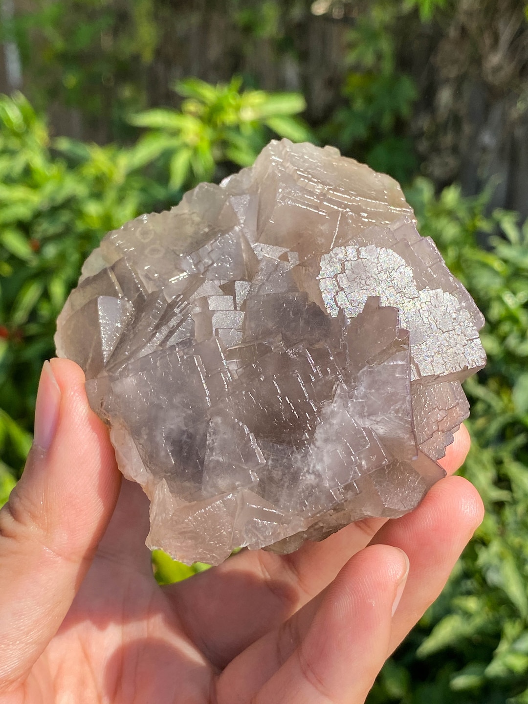 Natural Grey Flourite Cube Cluster Specimen , Fluorite Purplish Phantom ...