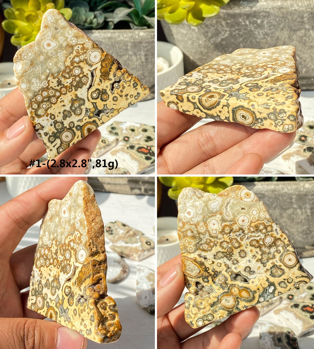 Ocean Jasper Slice , Ocean Jasper Slab , Polished Old Stock Ocean ...