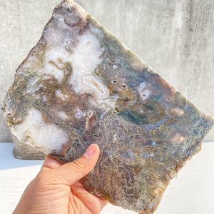 Green Moss Agate Slab Coaster , Moss Agate Stone Slice , Natural ...