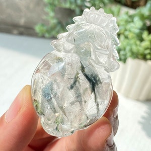 Natural Garden Quartz Dragon Turtle , Crystal Dragon Turtle Carving ...