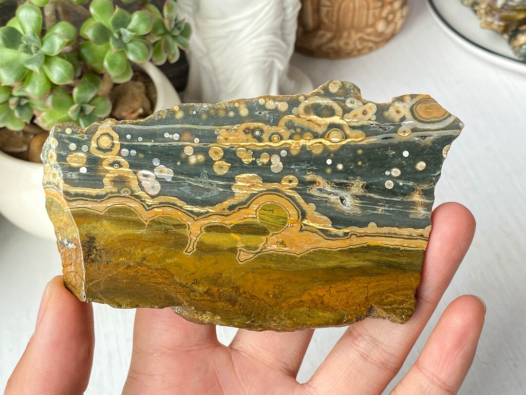 Ocean Jasper Slice , Ocean Jasper Slab , Polished Old Stock Ocean ...