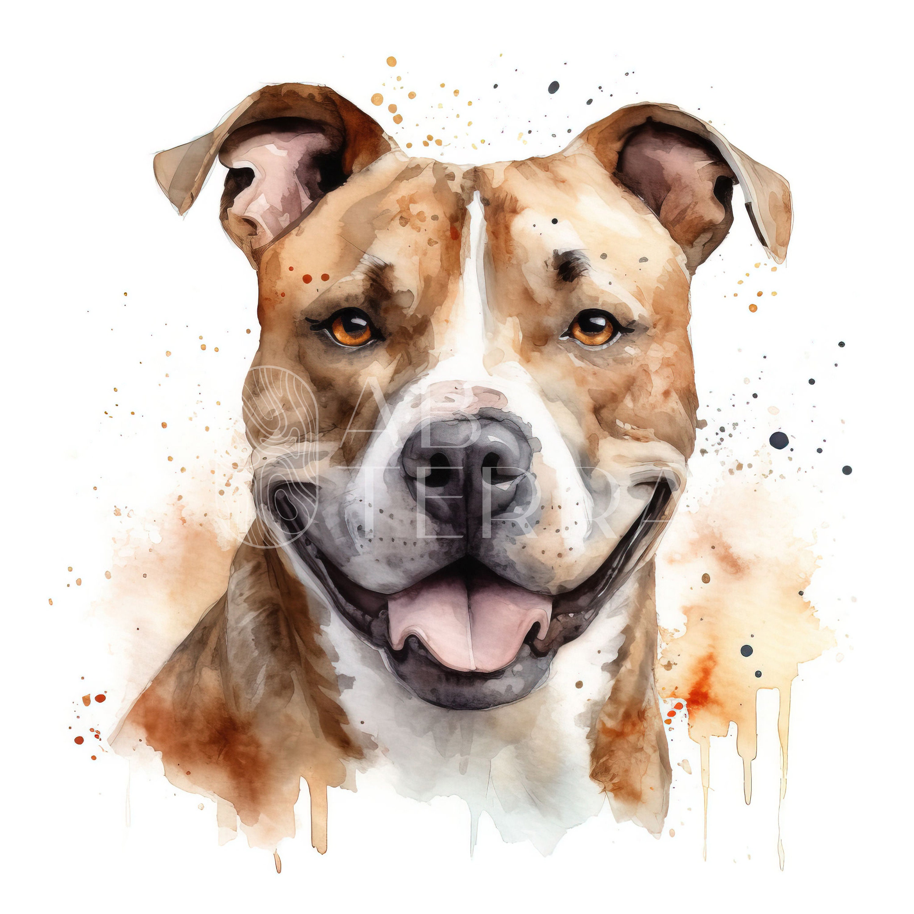 10 Brown Amstaff Watercolor Clip Art Bundle Clipart Amstaff - Etsy