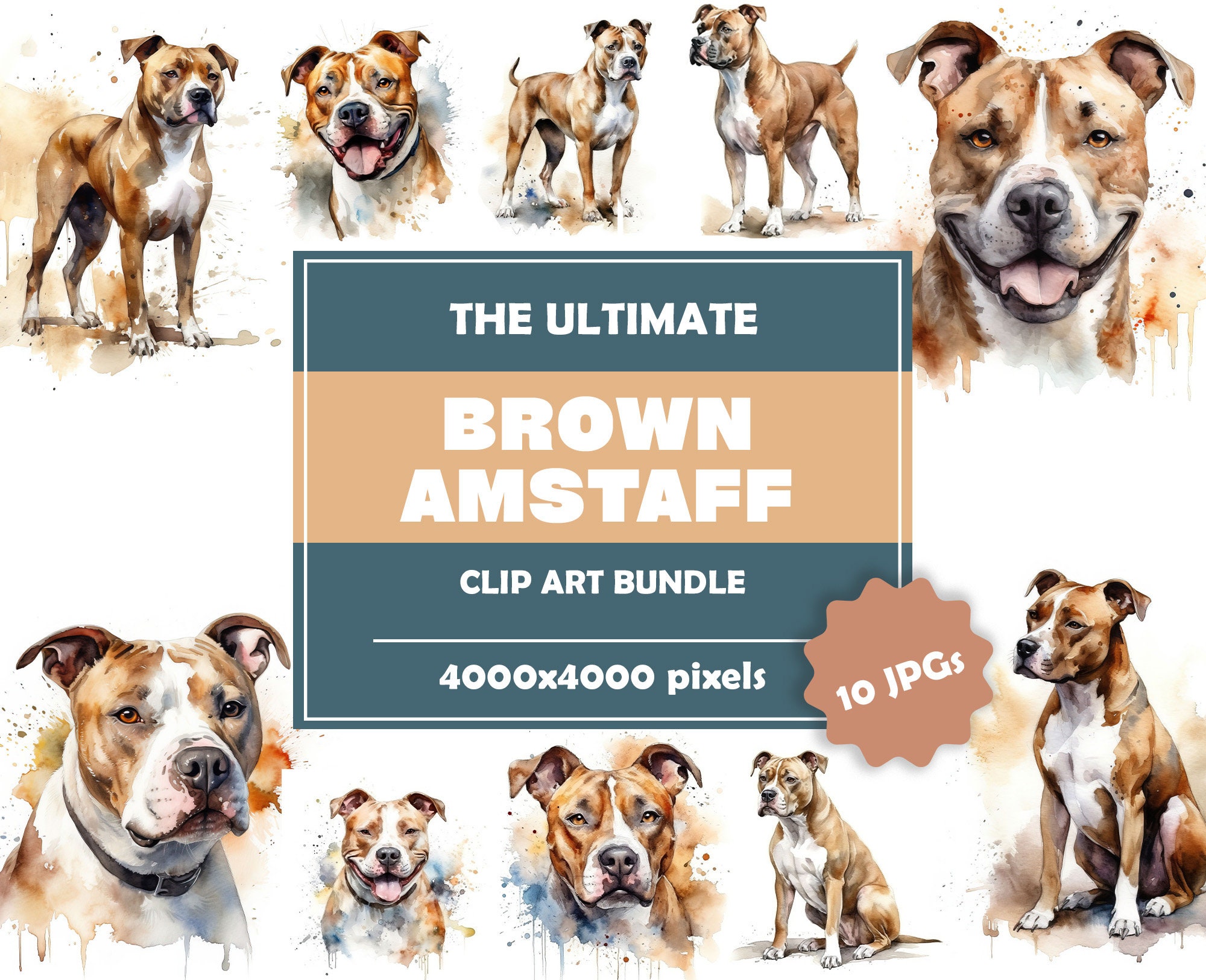 10 Brown Amstaff Watercolor Clip Art Bundle Clipart Amstaff - Etsy