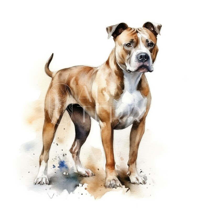 10 Brown Amstaff Watercolor Clip Art Bundle Clipart Amstaff - Etsy