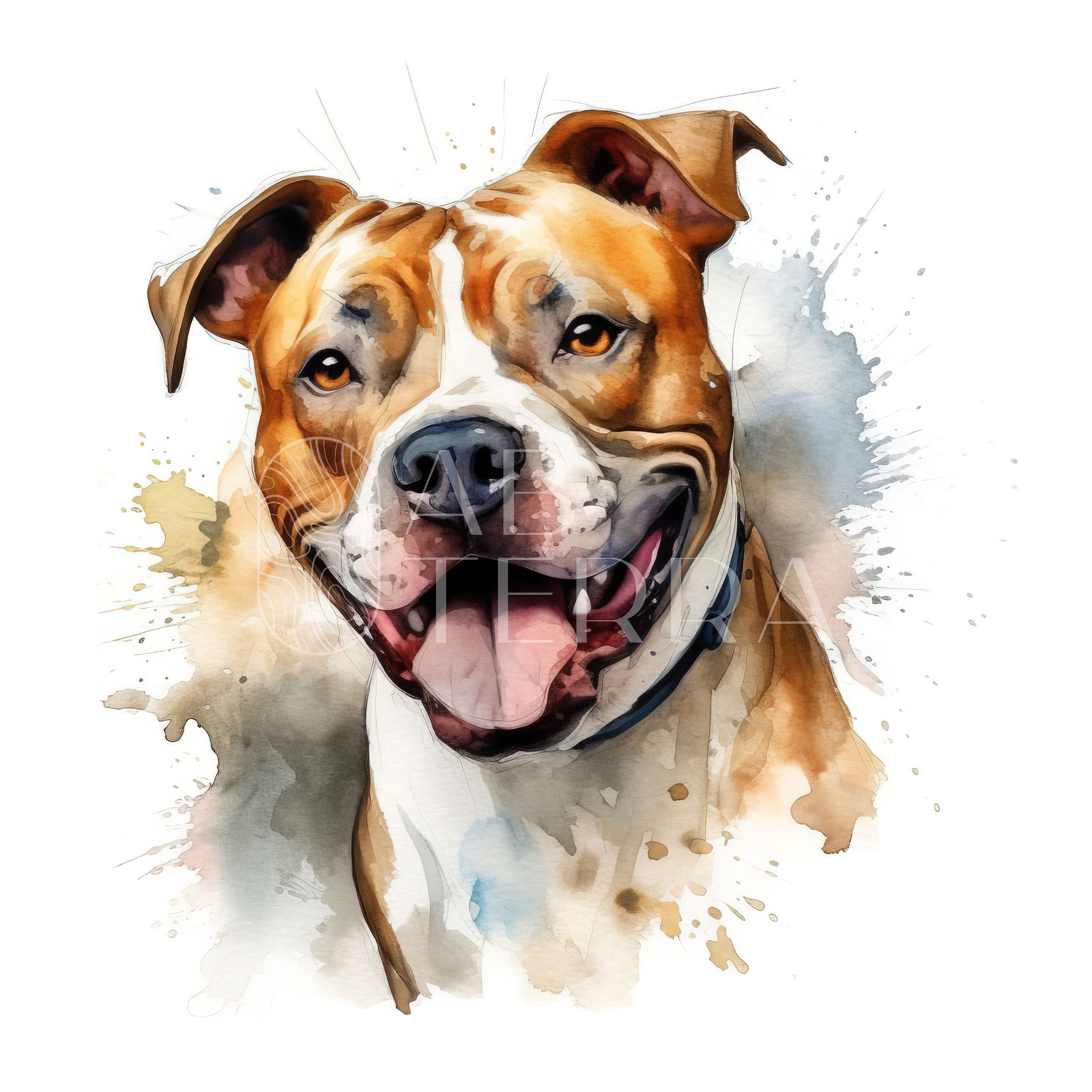 10 Brown Amstaff Watercolor Clip Art Bundle Clipart Amstaff - Etsy