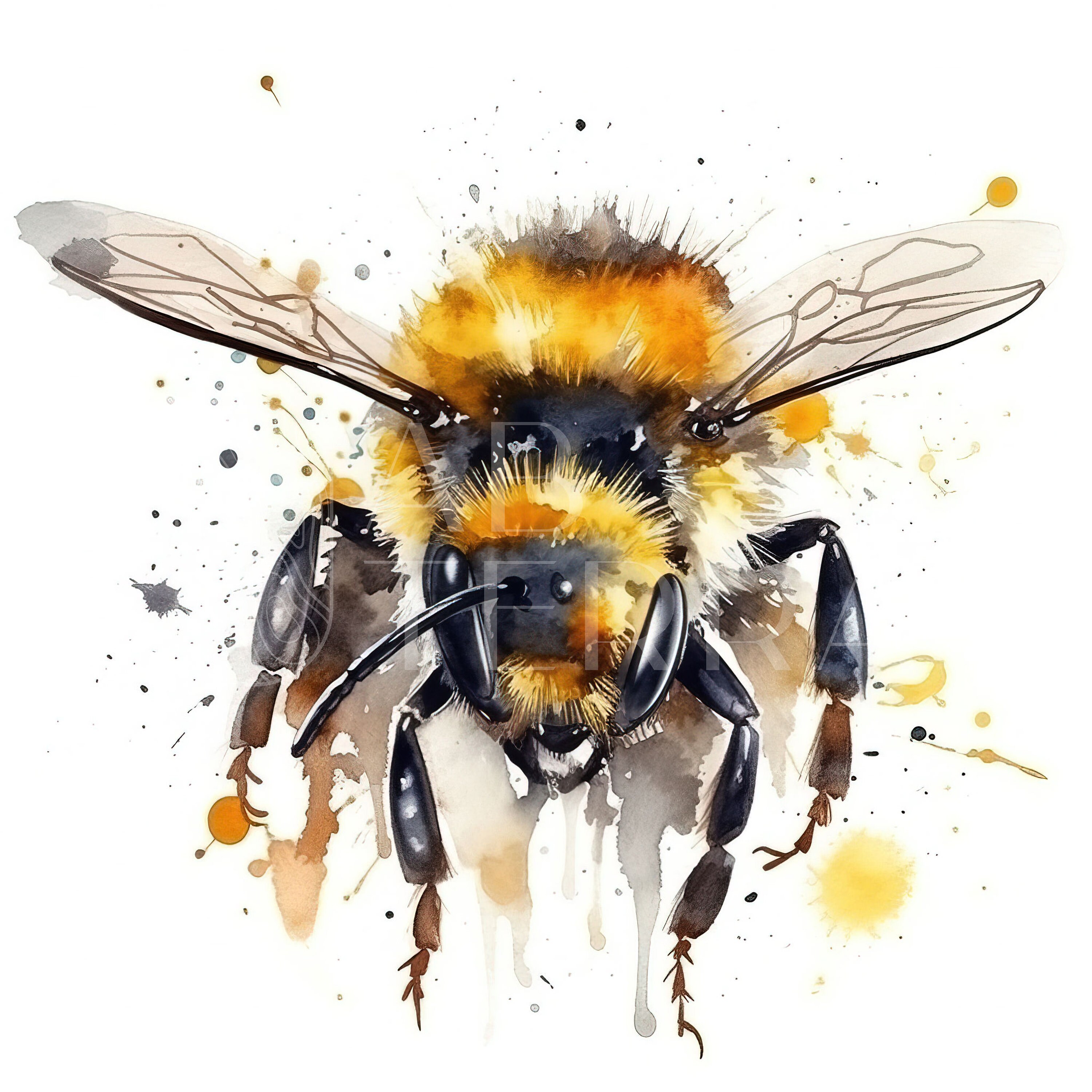 Bumblebee Watercolor Clip Art Bundle, 10 Watercolor Clip Art Files ...