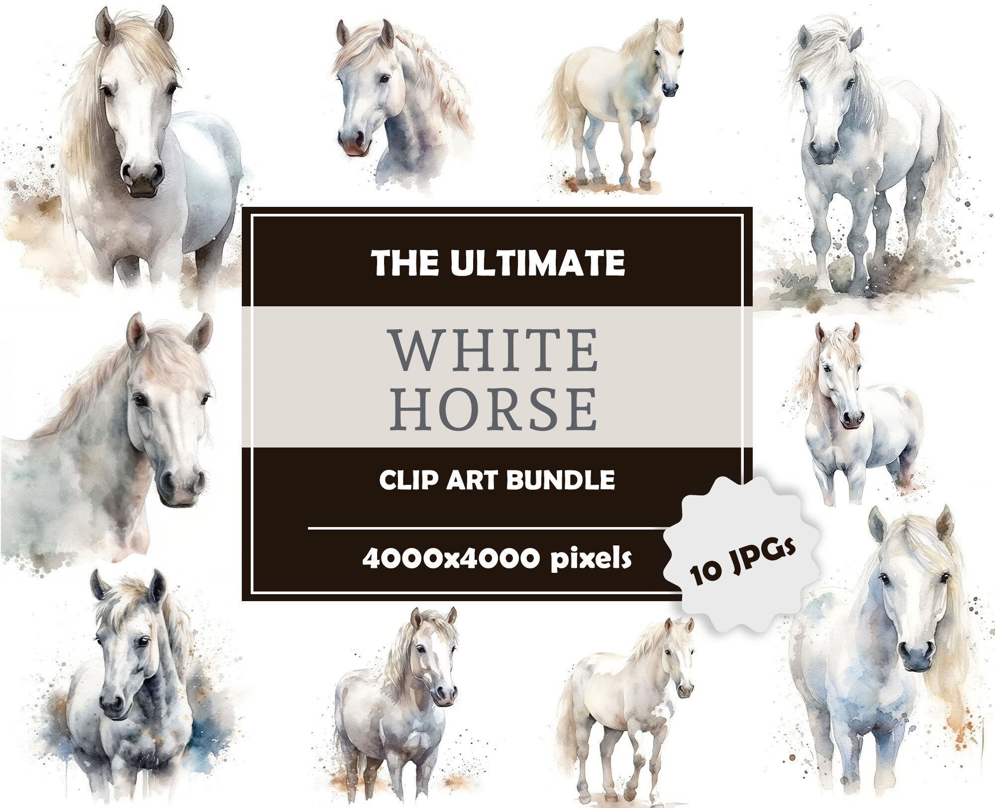 10 White Horse Watercolor Clipart Bundle White Horse Clipart - Etsy UK