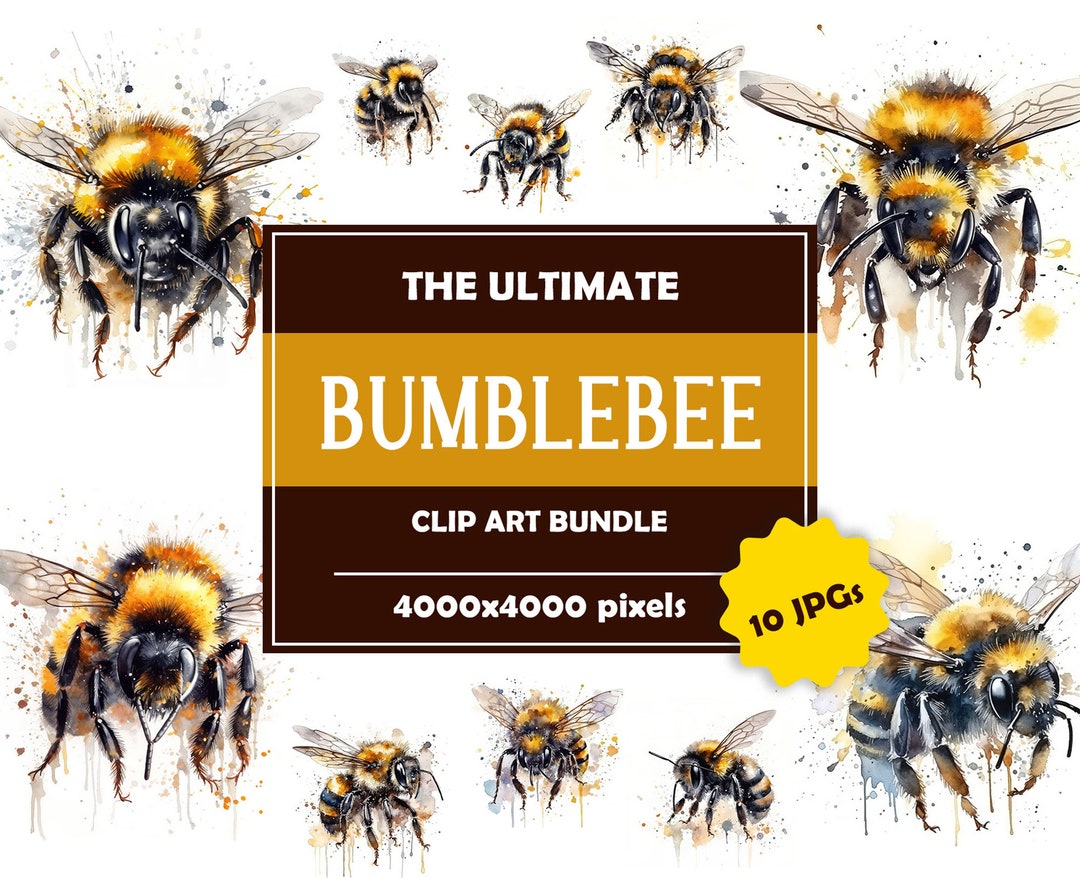 Bumblebee Watercolor Clip Art Bundle, 10 Watercolor Clip Art Files ...