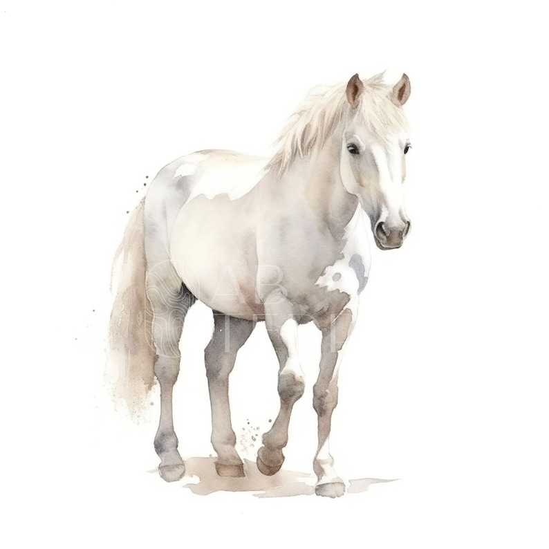 10 White Horse Watercolor Clipart Bundle White Horse Clipart - Etsy UK