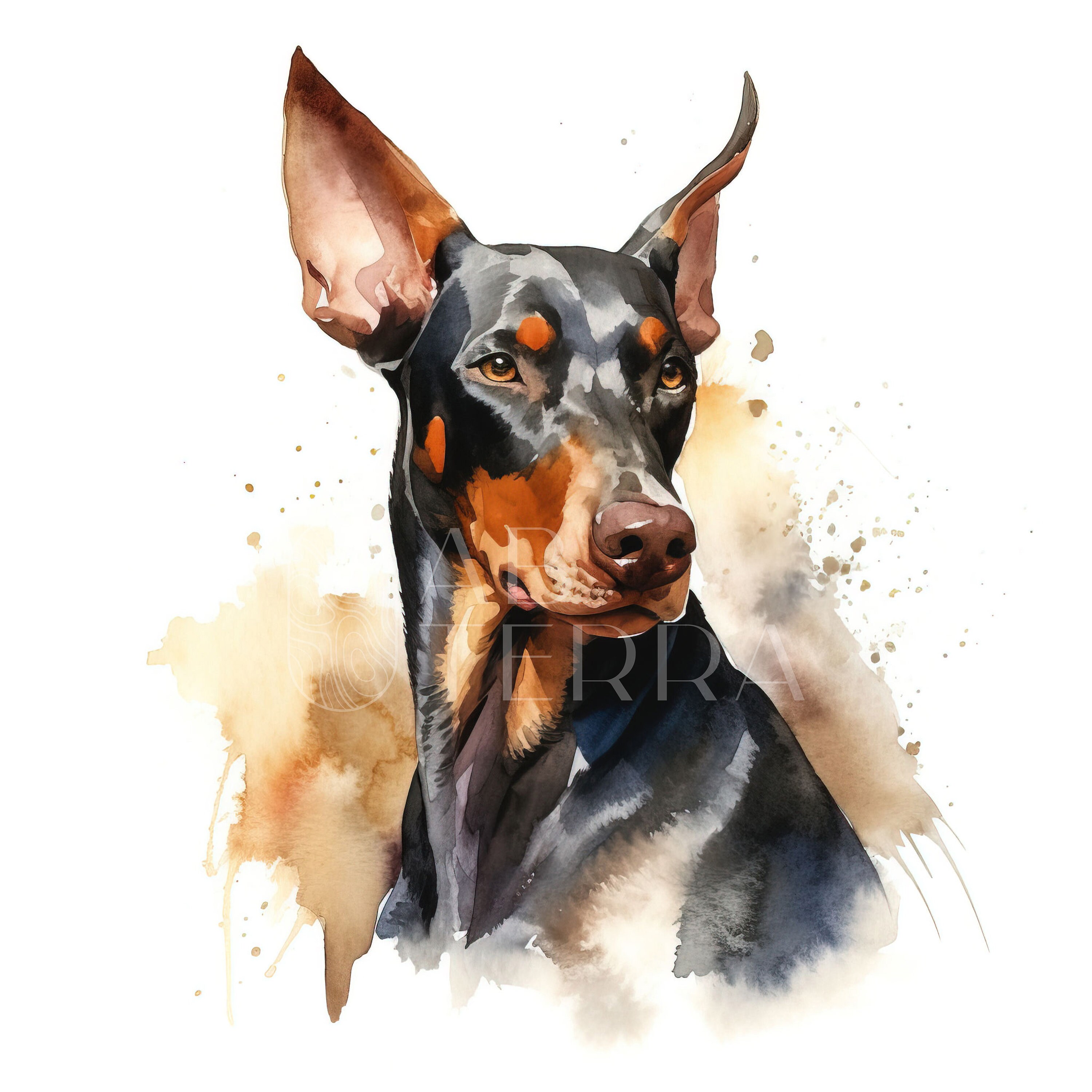 10 Doberman Watercolor Clip Art Bundle, Doberman Clip Art, Doberman ...