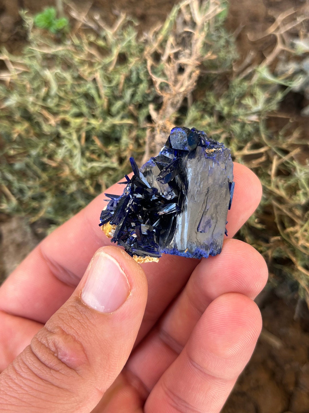 Rare Azurite Crystals Azurite Specimen Azurite Mineral From - Etsy