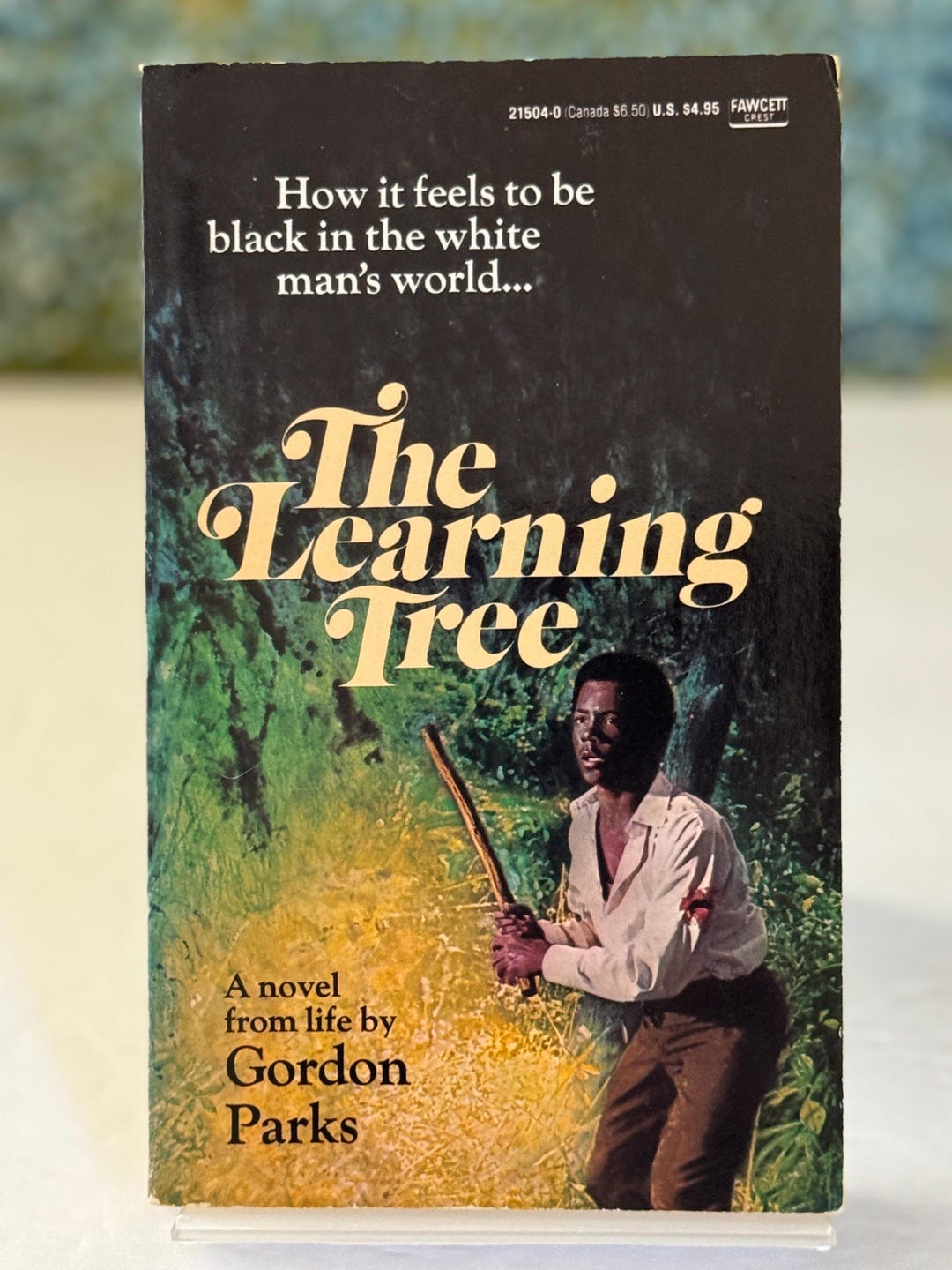 The Learning Tree by Gordon Parks, Fawcett Crest Edition - Etsy