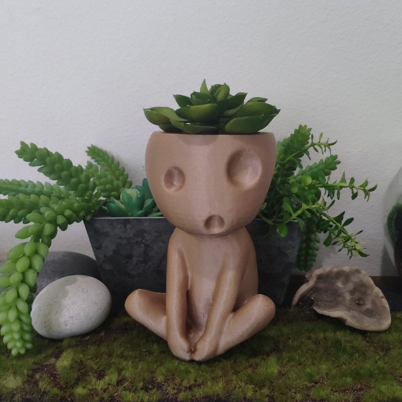 Kodama Japanese Tree Spirit Planter Succulent Air Plant - Etsy Australia