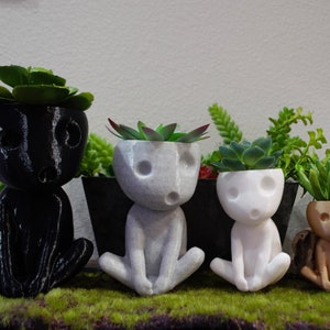 Kodama Japanese Tree Spirit Planter Succulent | Etsy